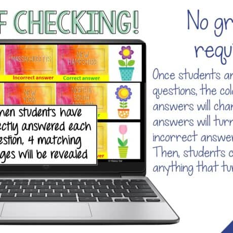 13 Colonies Google Sheets Review Game - By History Gal